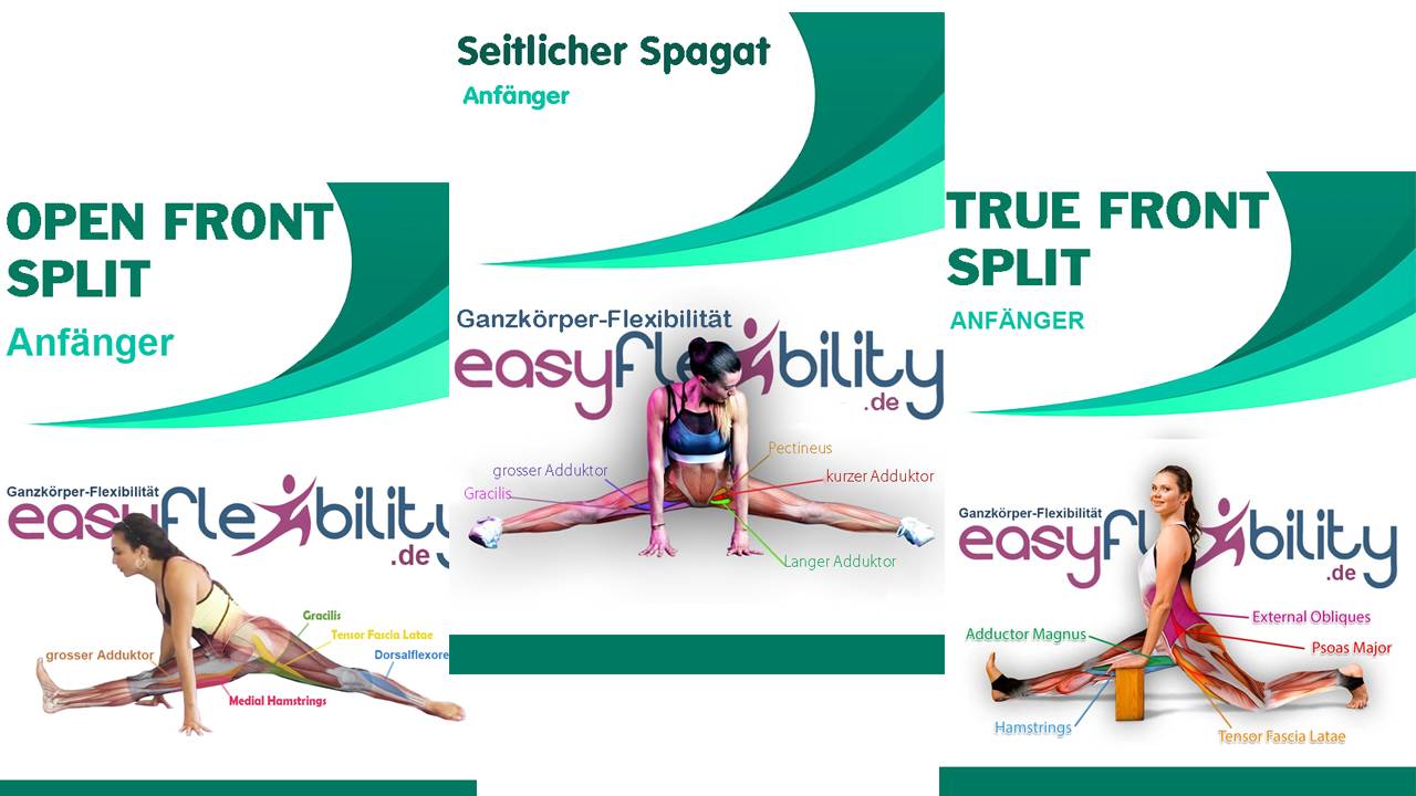 Beginner Splits Combo