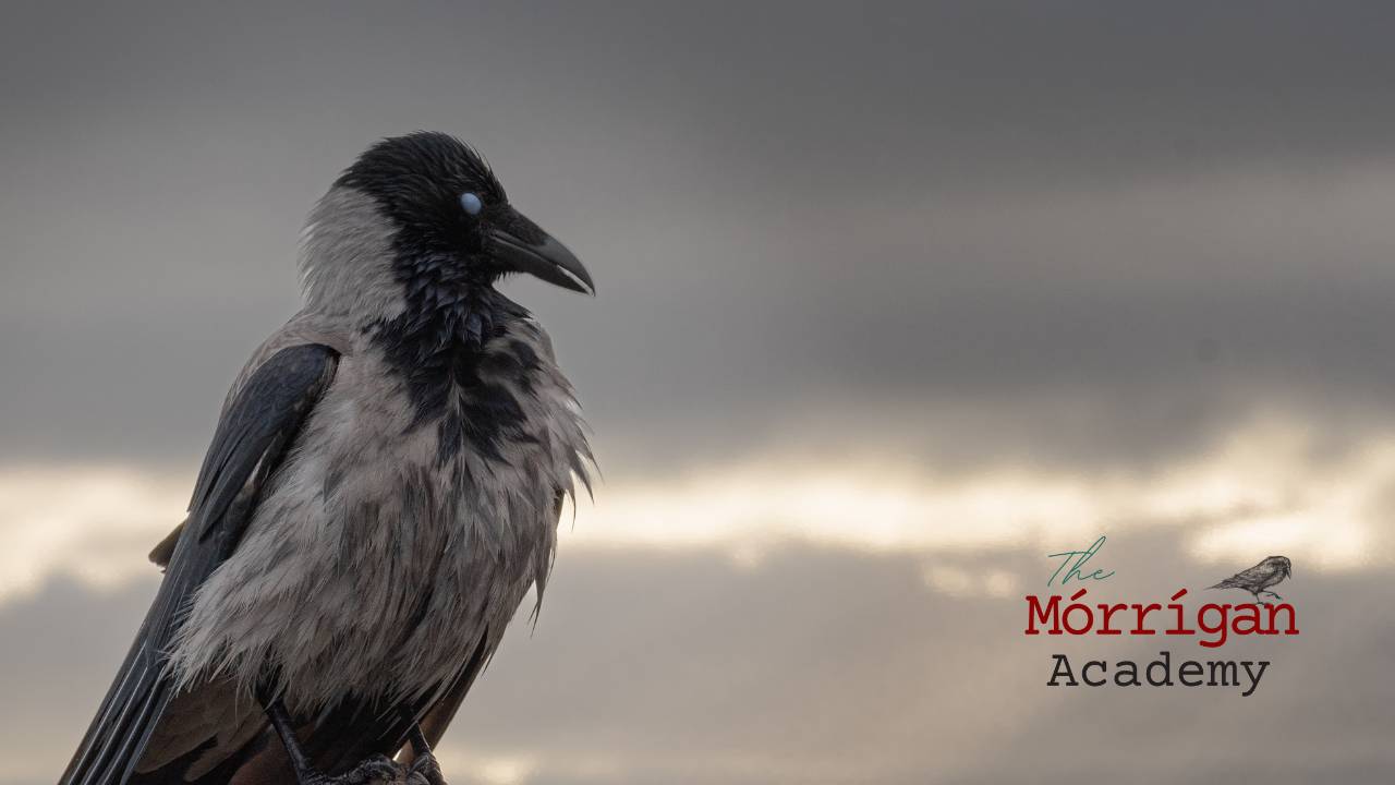 The Badb in Bruiden Da Choca