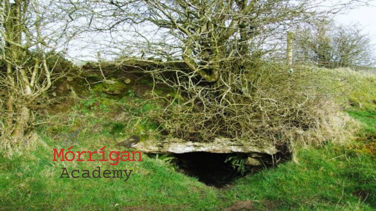 The Cave of the Cats