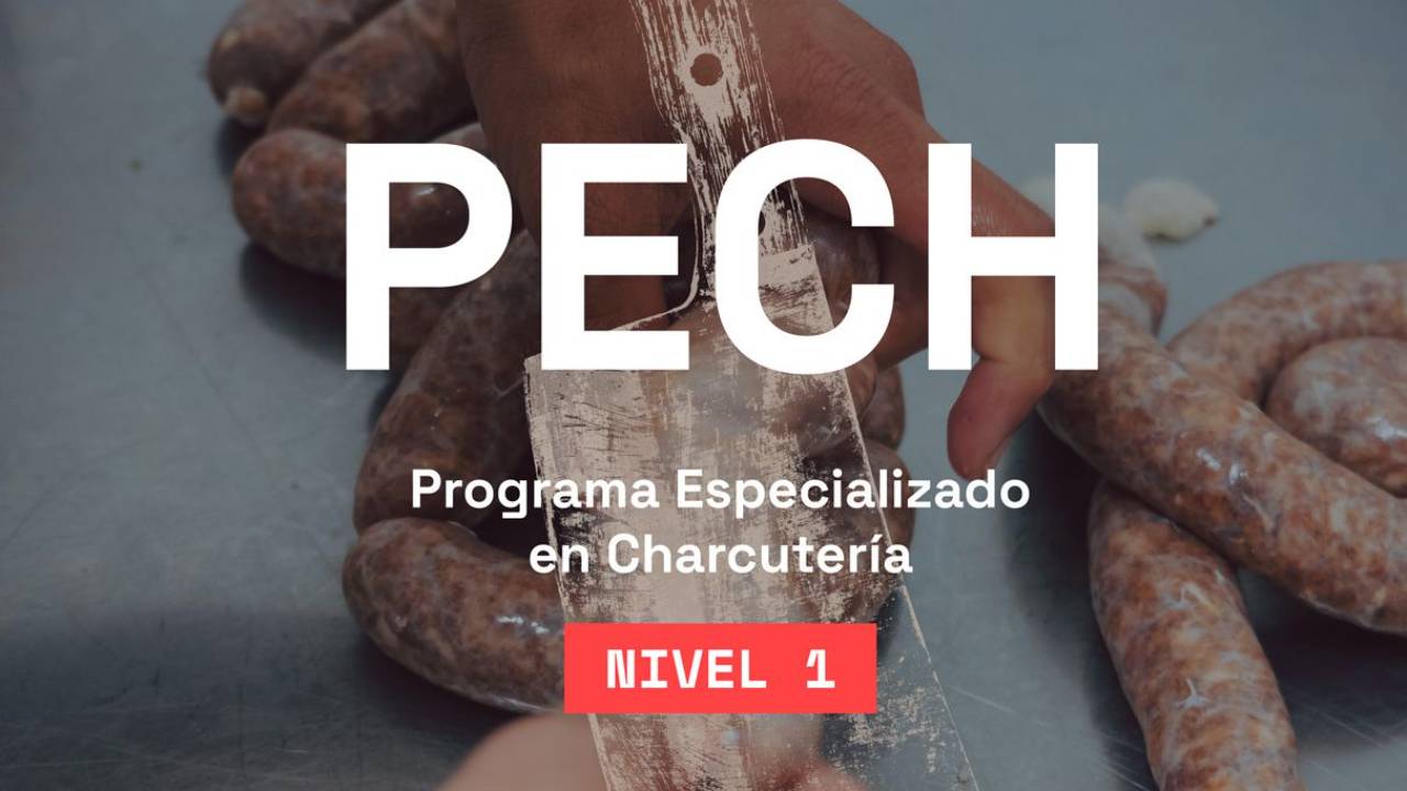 PECH Nivel 1