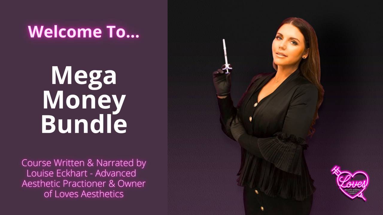 Mega Money Bundle | Loves Aesthetic Academy