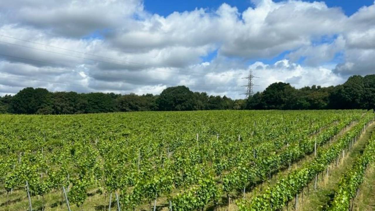 England – smaken av suksess med Ingvild Tennfjord