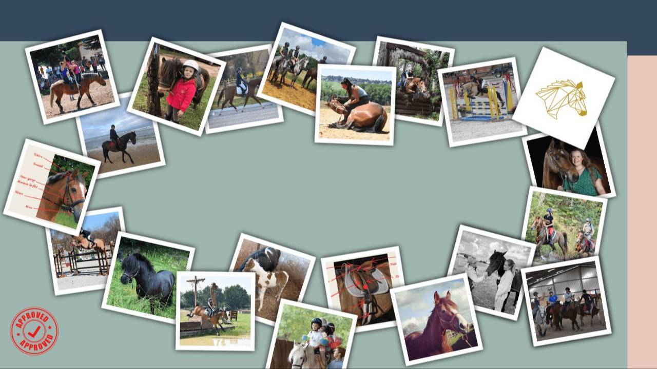 Galop 2 - Préparation aux galops en ligne