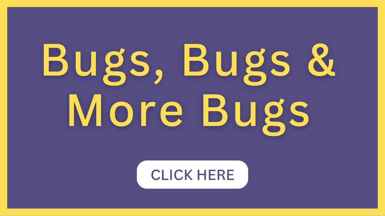 Bugs, Bugs & More Bugs