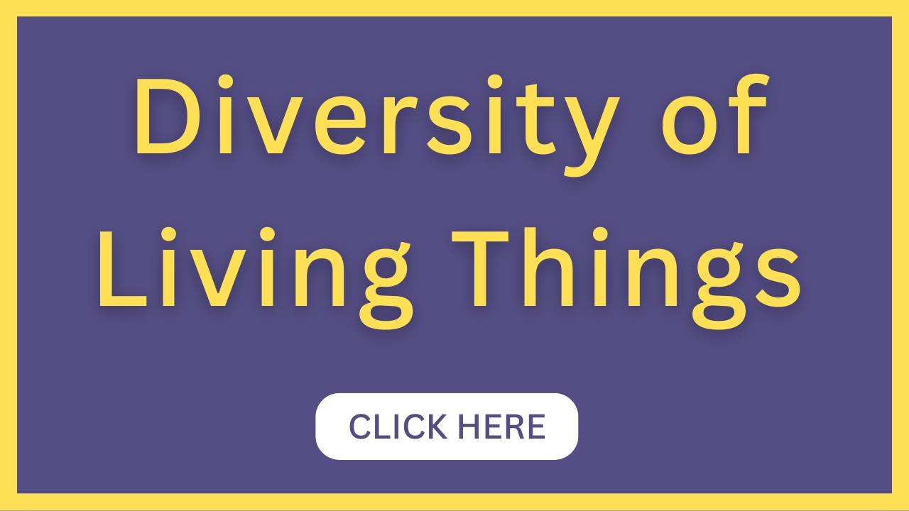 Diversity of Living Things Curriculum Map