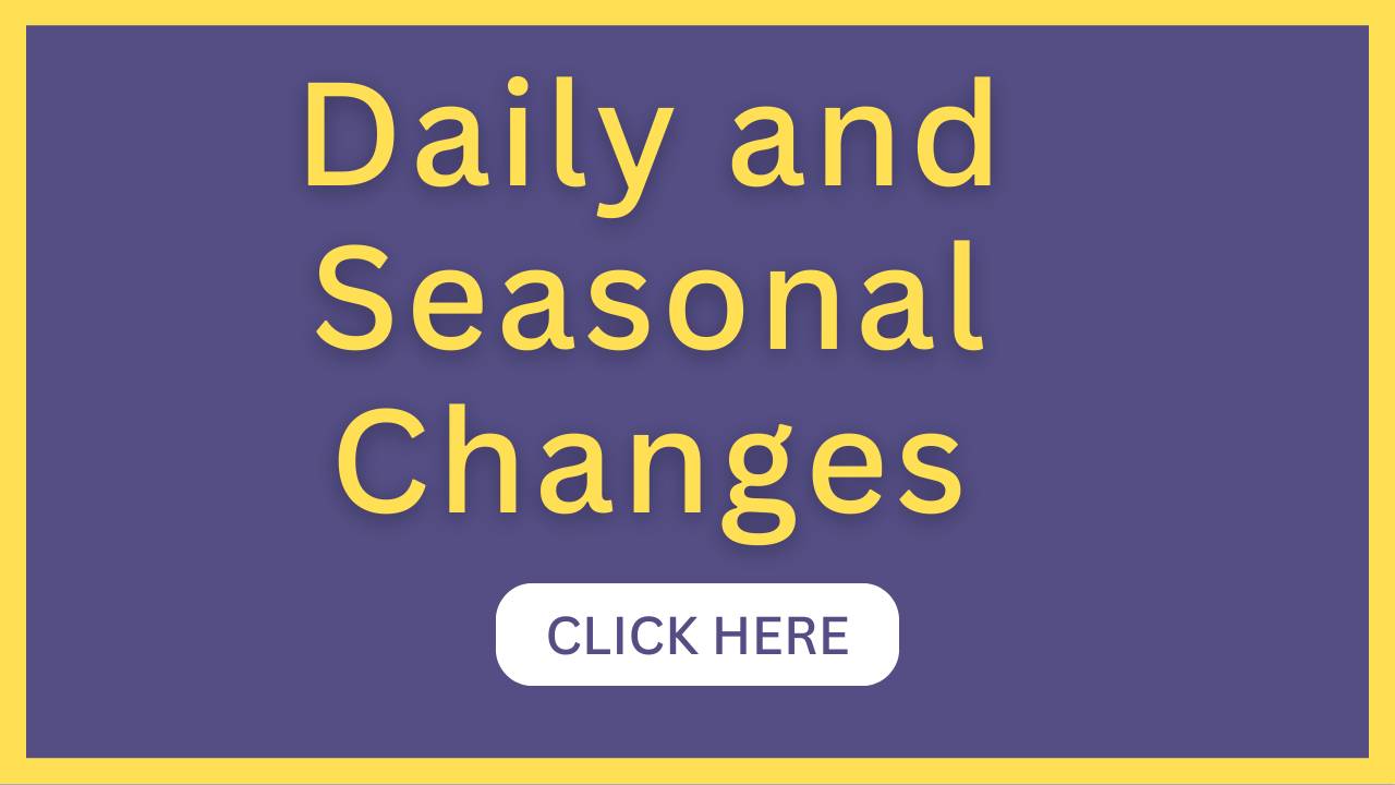 Daily and Seasonal Changes