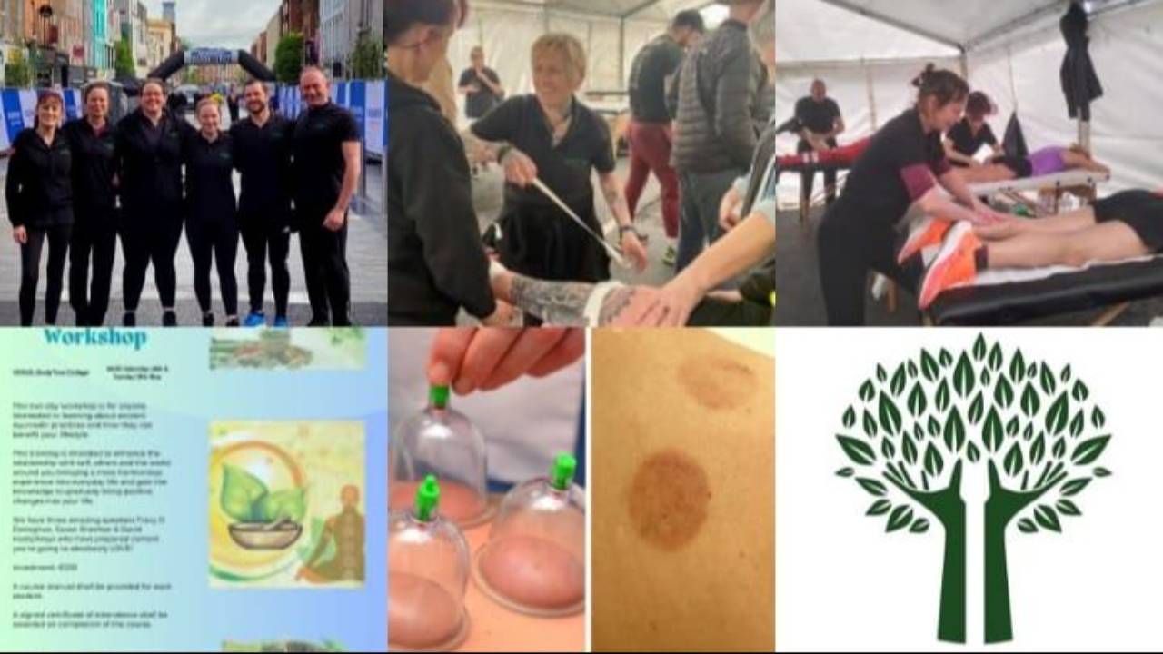 Body Tree Therapists Directory Page