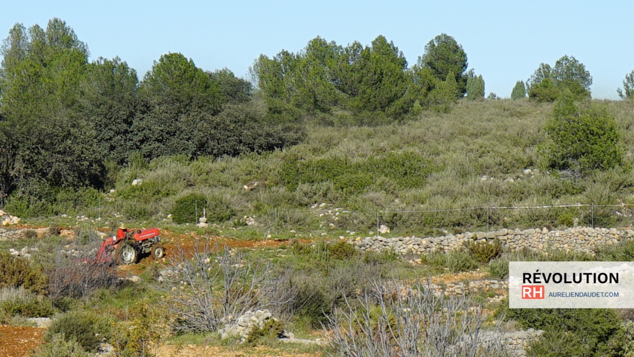 « Pour me faire plaisir