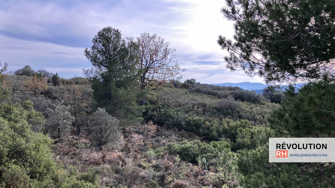 « Quelles sont vos attentes