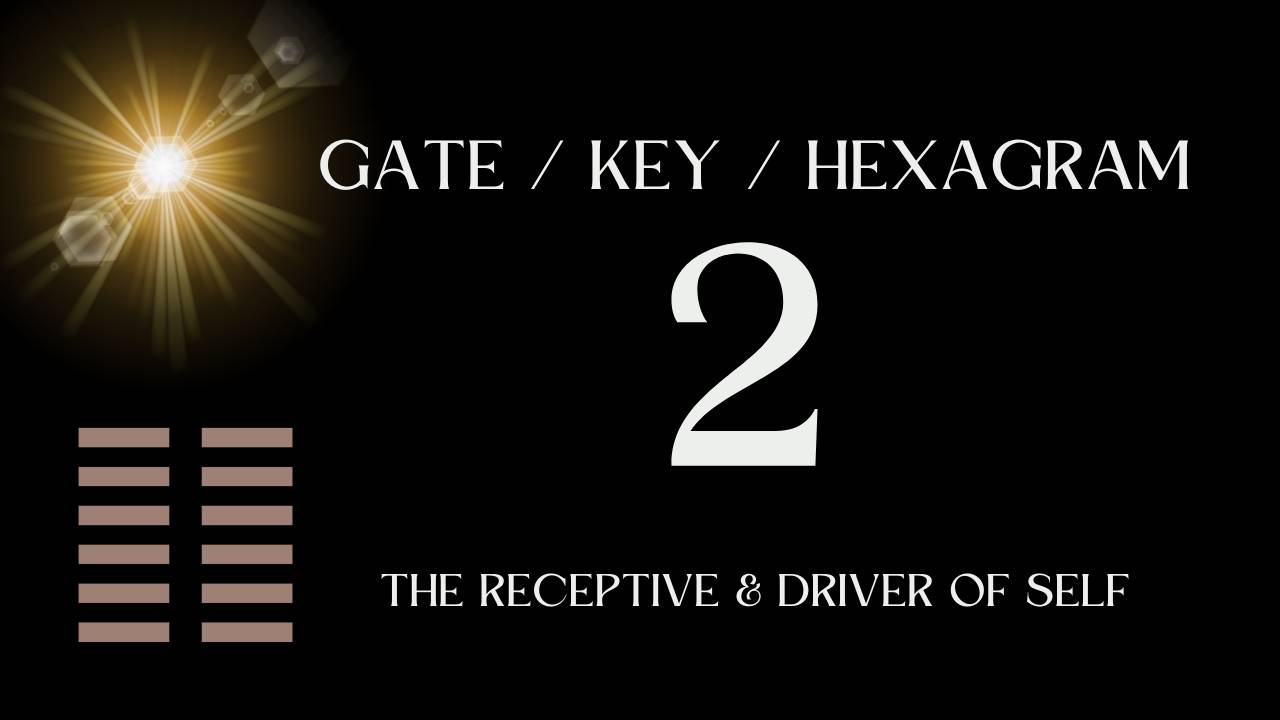 Human Design Gate, Gene Key, IChing Hexagram 2: The Receptive & Driver