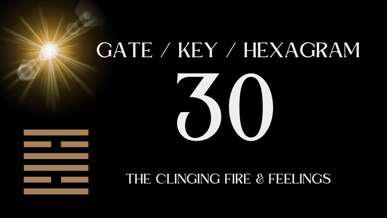 Human Design, Gene Key, and Hexagram 30: Feelings and Clinging Fire