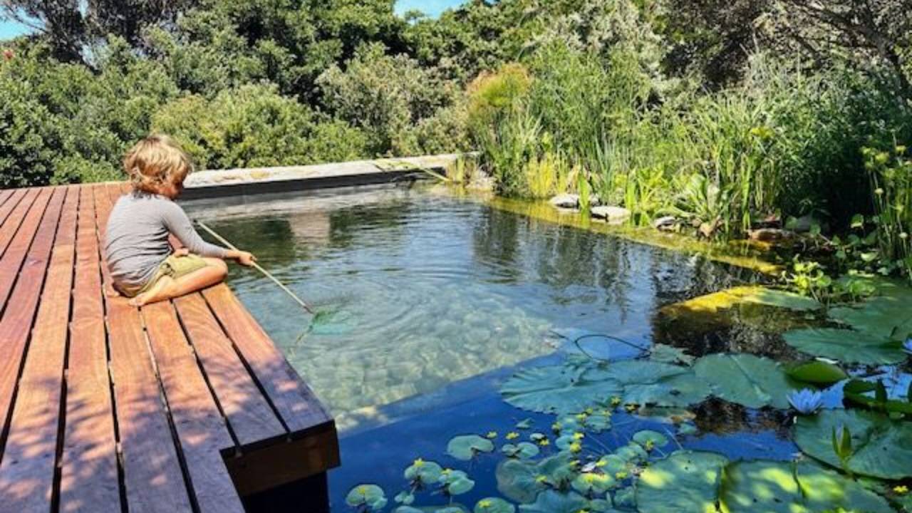 DIY Natural Swimming Pools