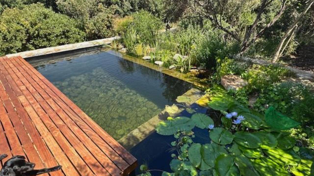DIY Natural Pool Articles: Tips & Resources for Eco-Friendly Swimming