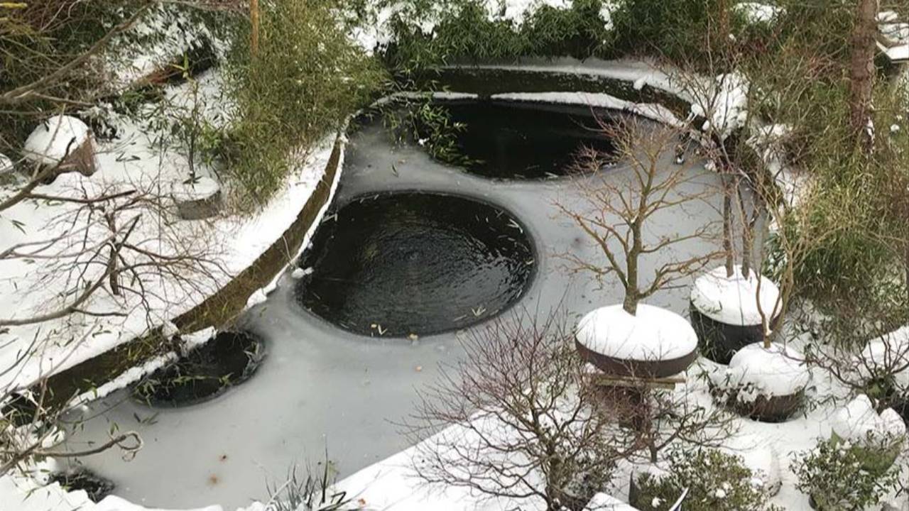 Natural Pools in Freezing Climates - are they possible?