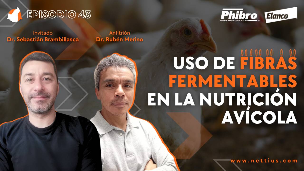 Uso de fibras fermentables en la nutrición avícola