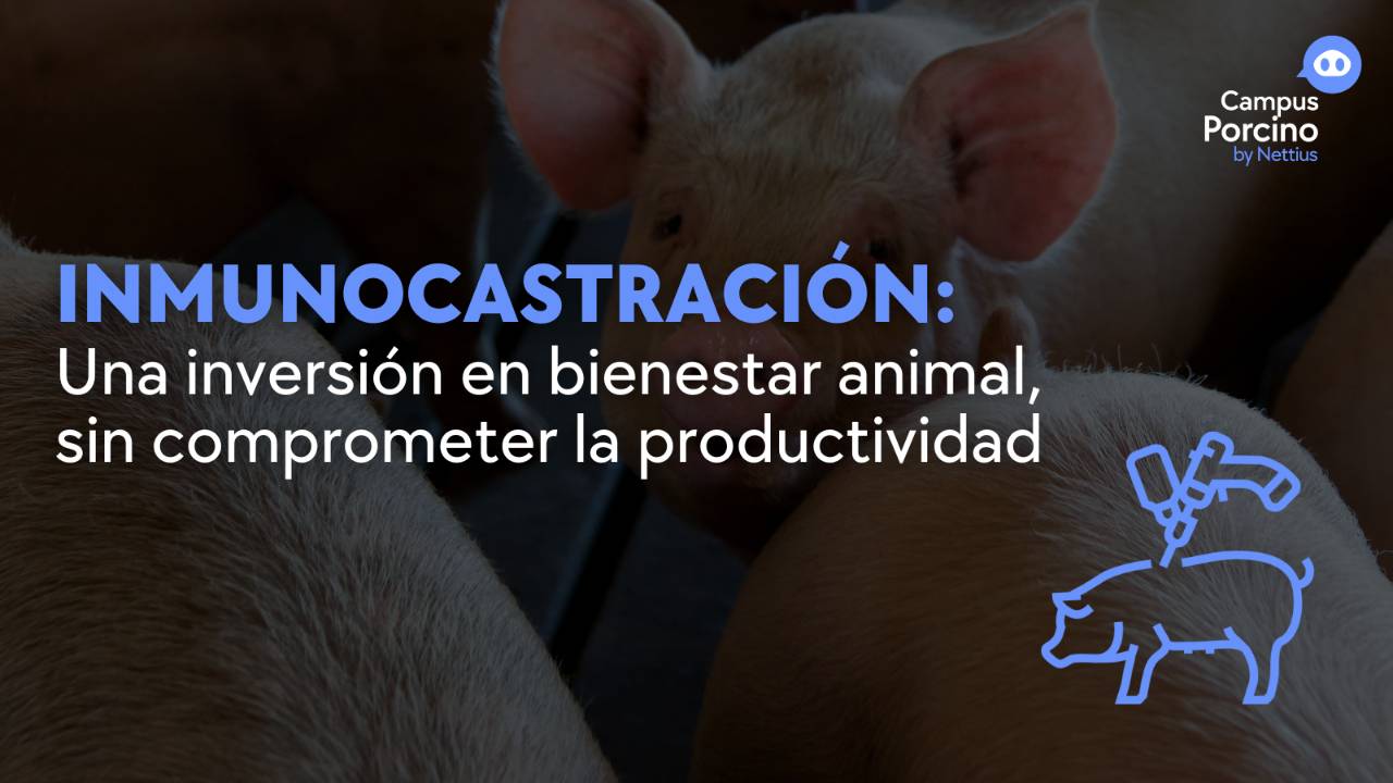 Inmunocastración