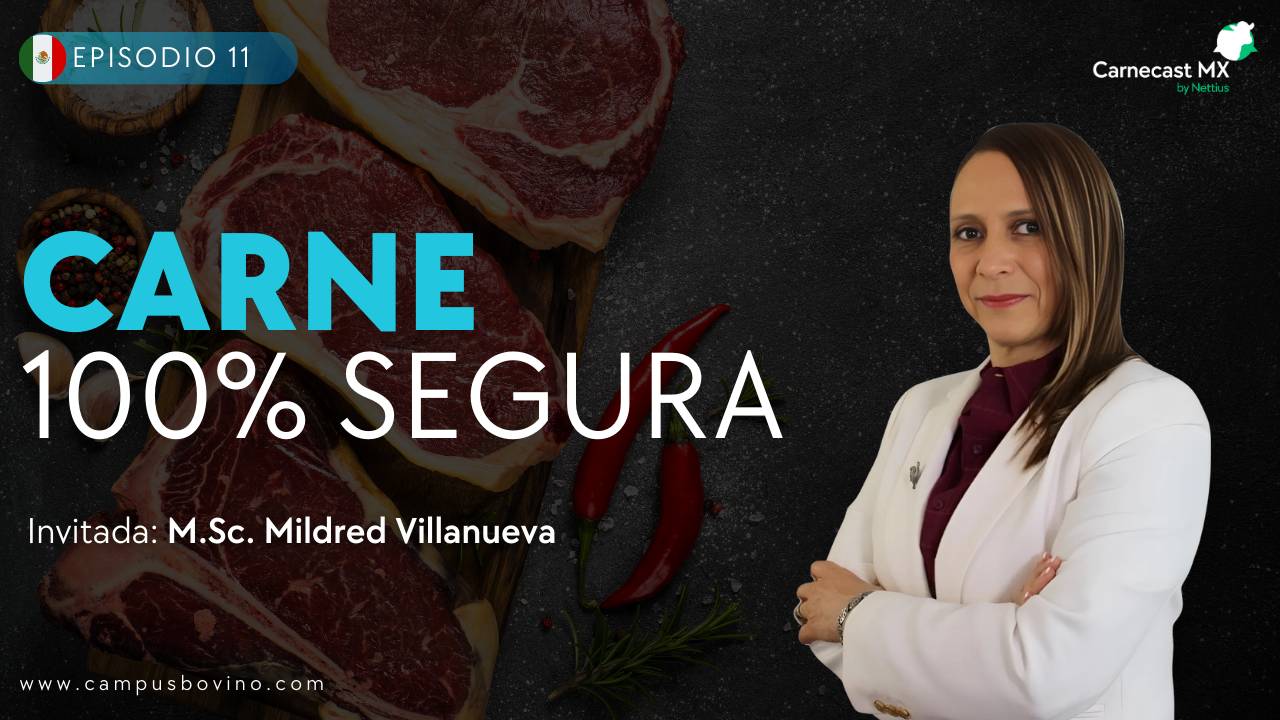 Certificación TIF: Garantía de calidad e inocuidad en la carne