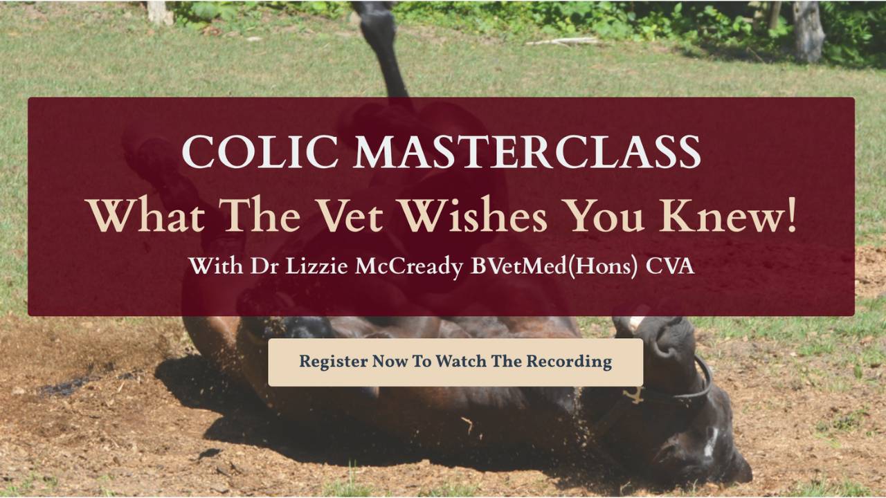 REPLAY Free Colic Masterclass with Dr Lizzie McCready