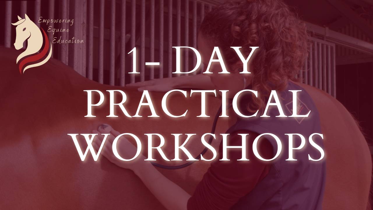 Workshops