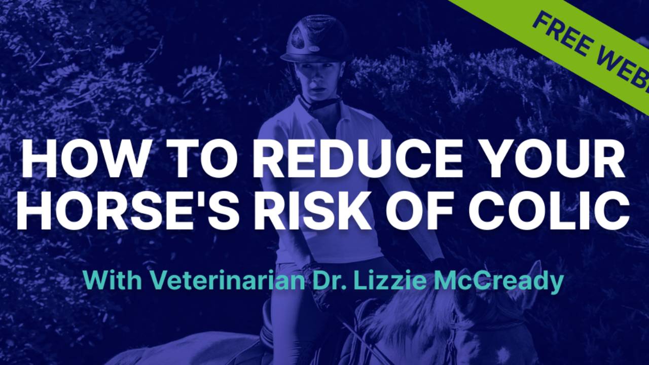 REPLAY Free Colic Webinar with Dr Lizzie McCready & Linda