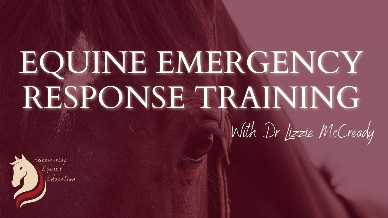 Equine Emergency Training LIVE