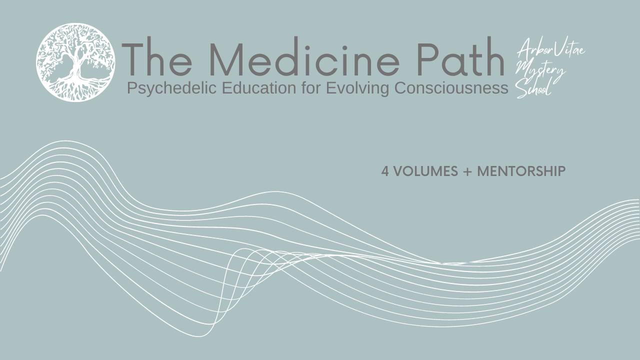 The Medicine Path