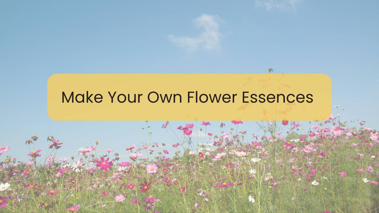 Make Your Own Flower Essences
