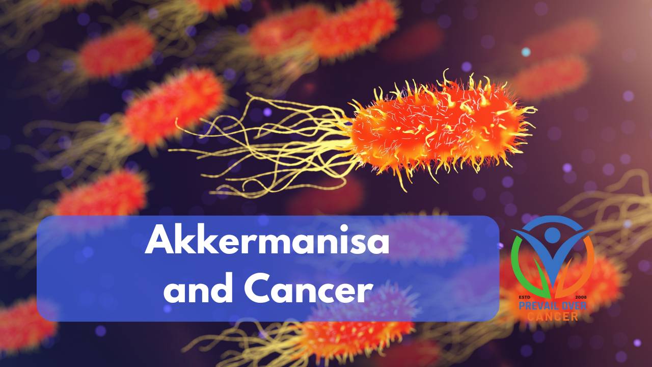 Akkermansia and Cancer: How This Gut Bacteria Supports Treatments