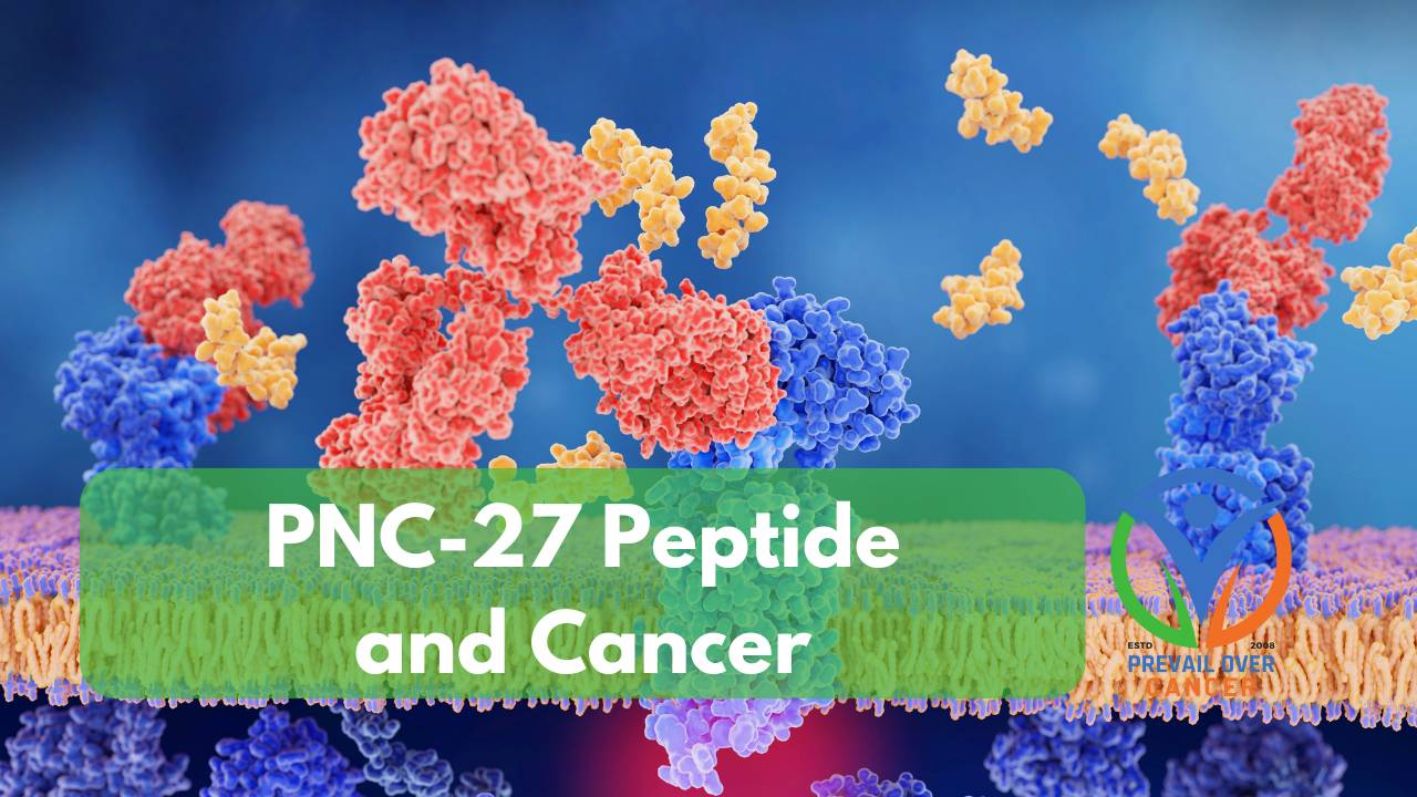 PNC-27 Peptide: Targeted Cancer Cell Destruction
