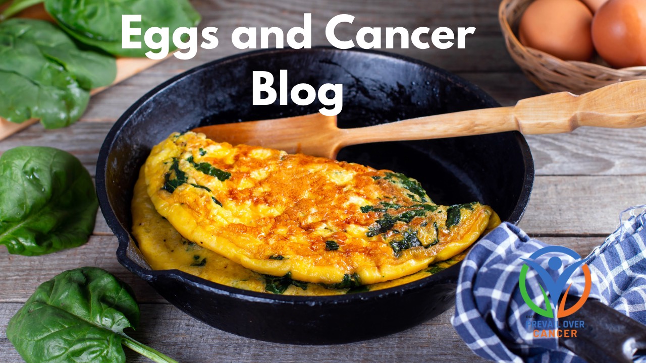 Eggs and Cancer Risks