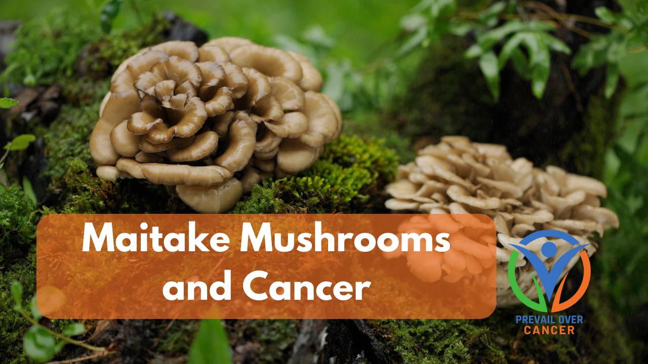 Maitake Mushrooms and Cancer: Evidence-Based Benefits