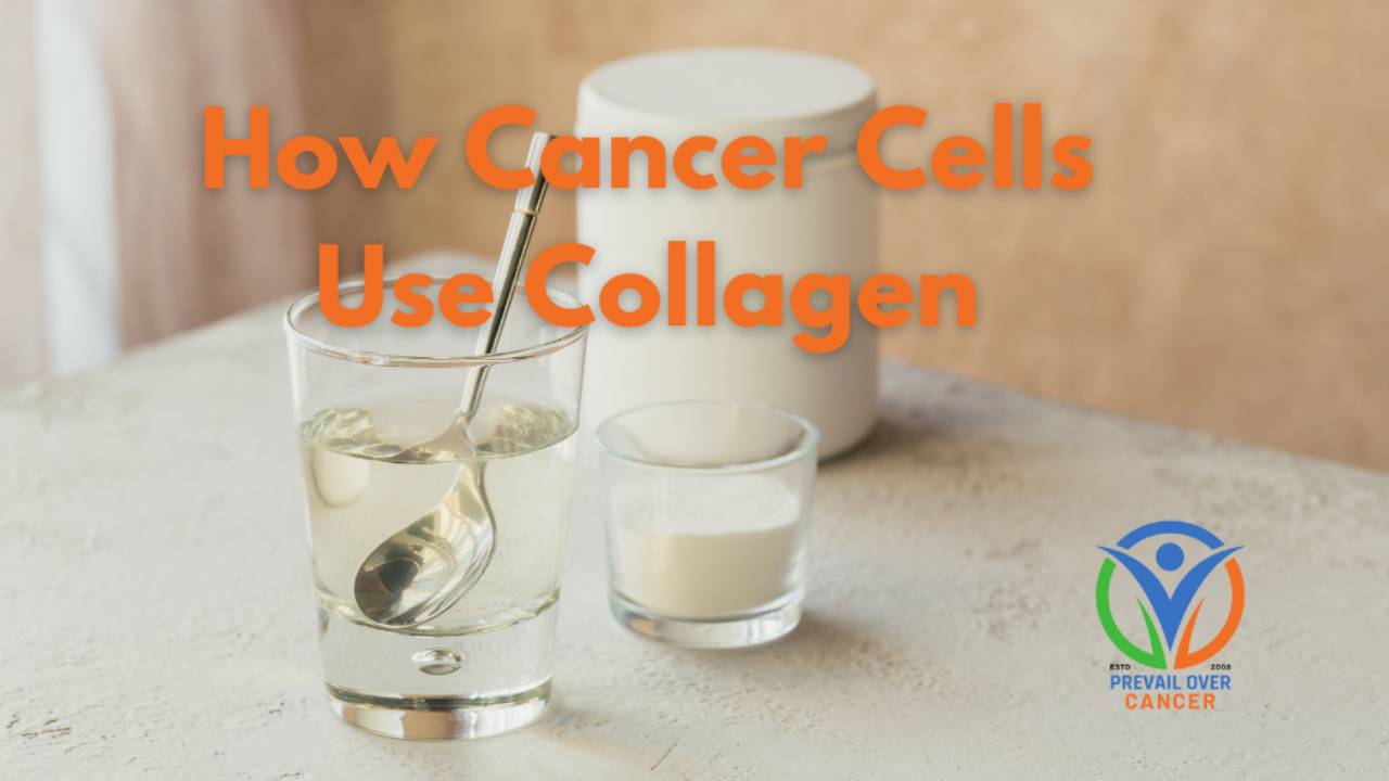 Cancer Cells Use Collagen to Grow, Strengthen, and Metastasize