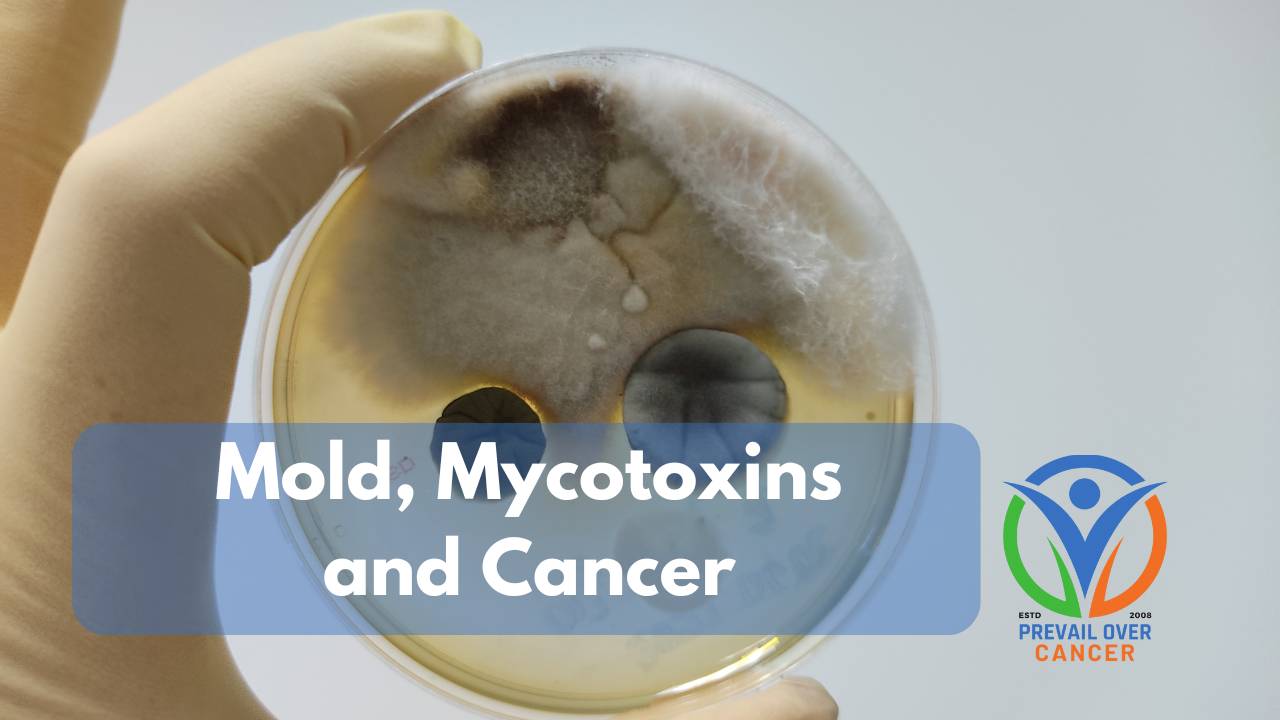 Mold, Mycotoxins, and Cancer Risk: What You Need to Know