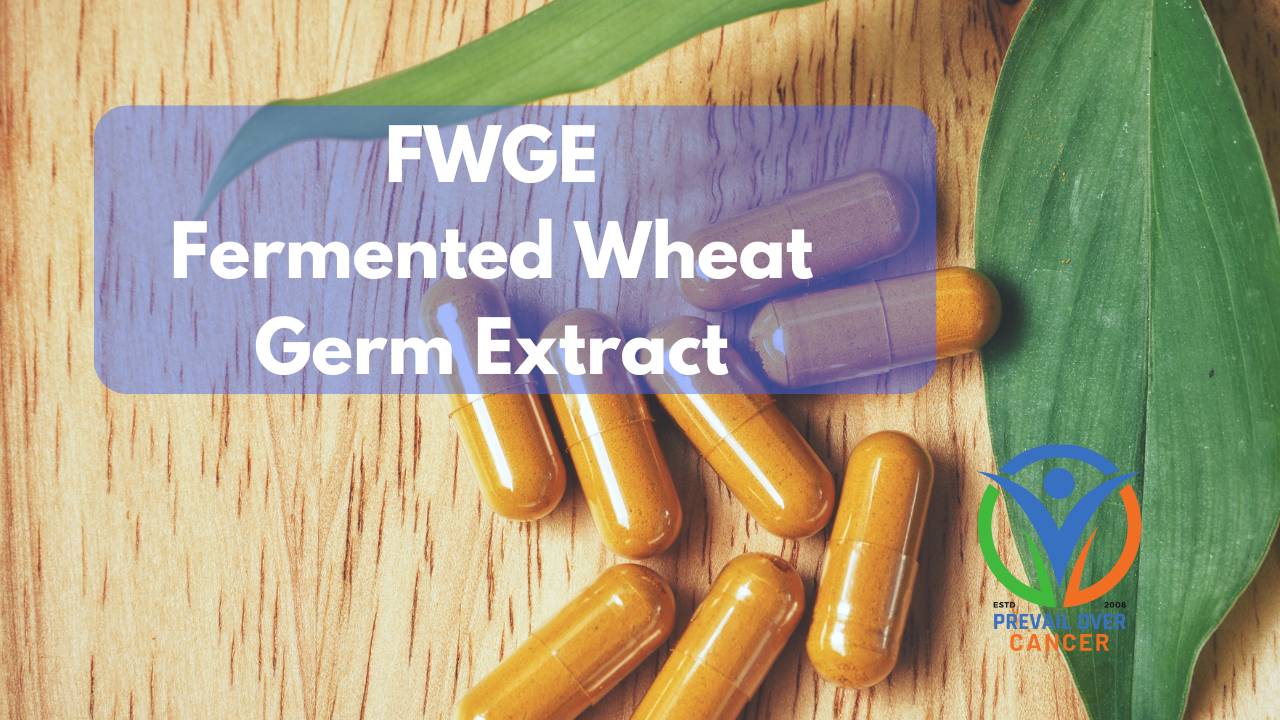Fermented Wheat Germ Extract Research Guide