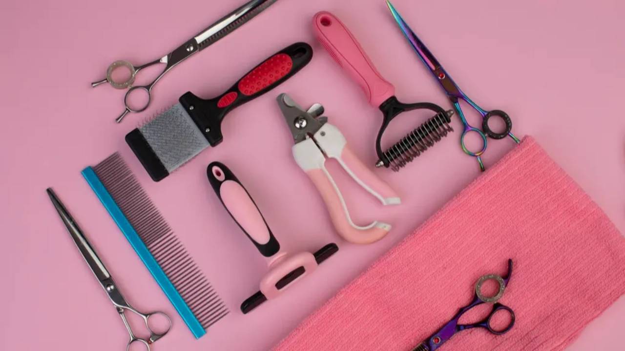 The Best Place to Buy Grooming Tools