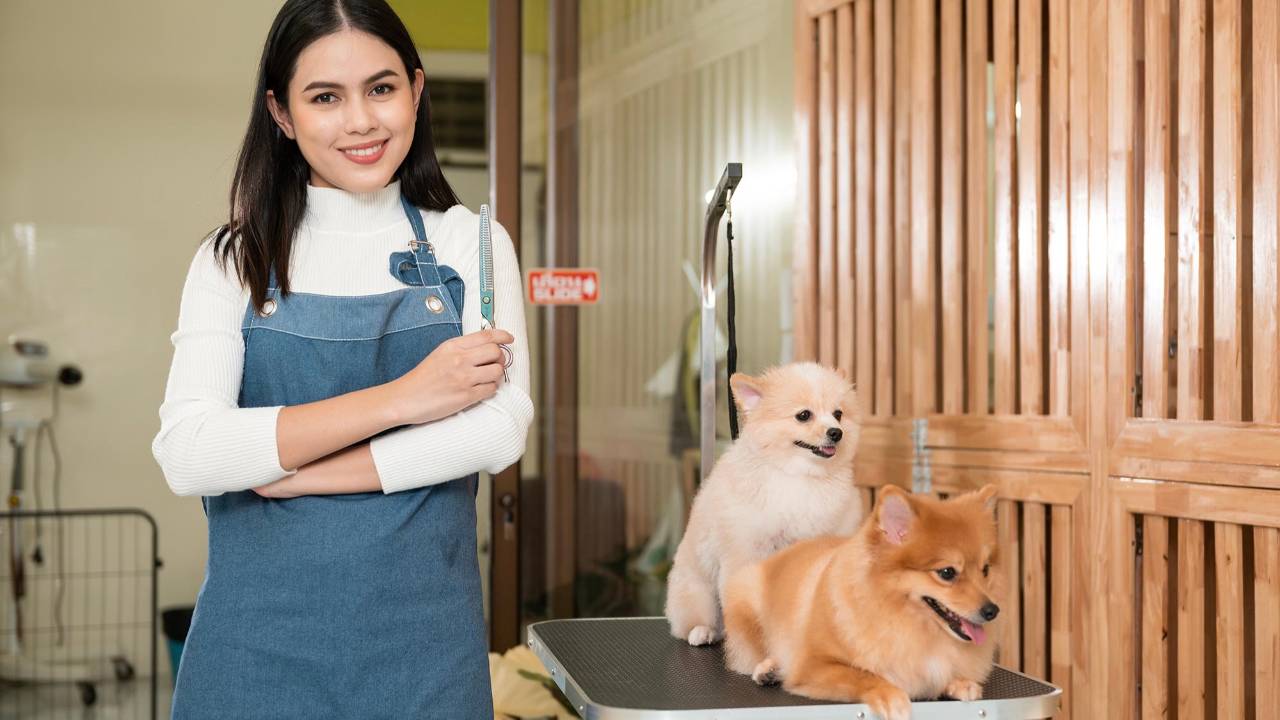 The Benefits of Dog Grooming Classes for Dog Owners