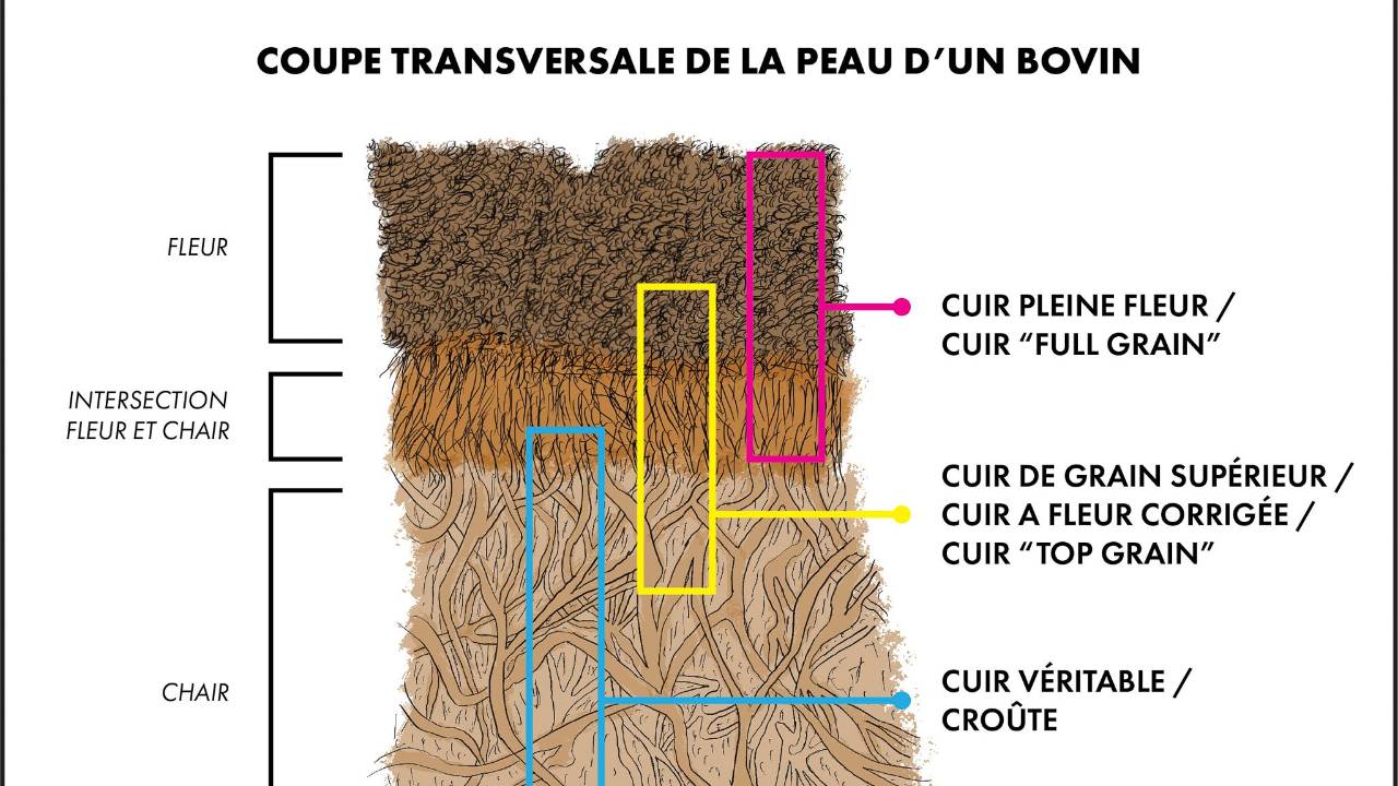 Est Ce Que Le Cuir Se Detend