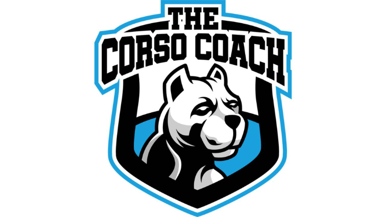 The Corso Coach