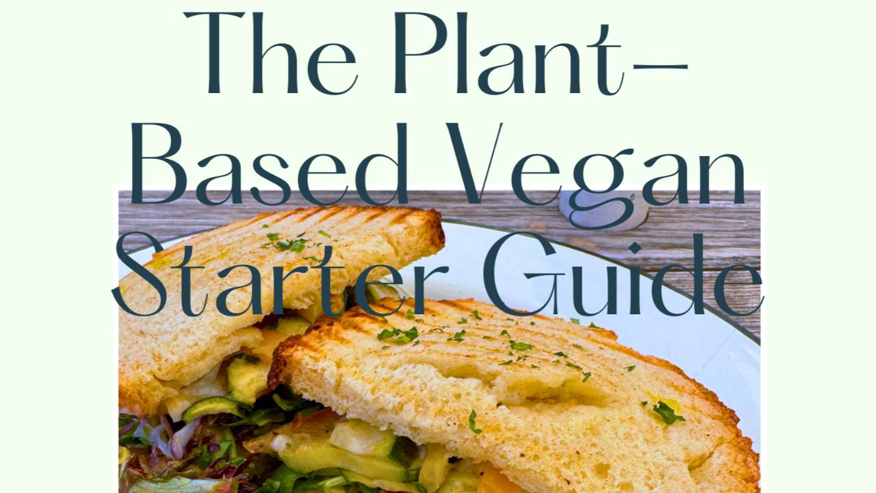 The Best Plant-Based Vegan Starter Guide | Food Prep, Recipes & More