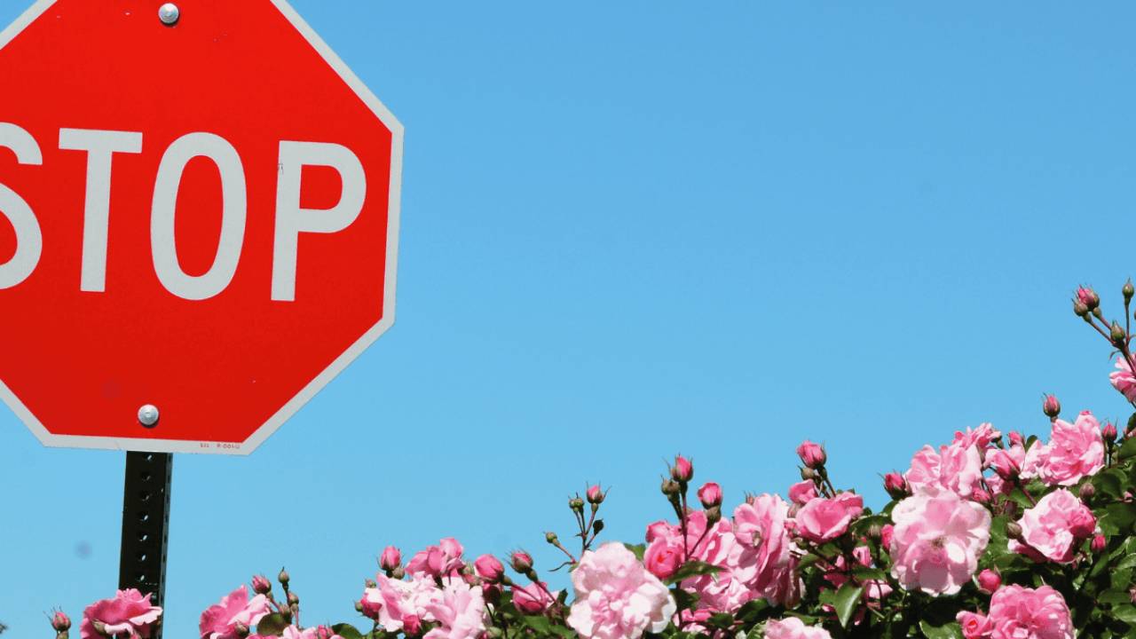 Warning Signs of an Abusive Person