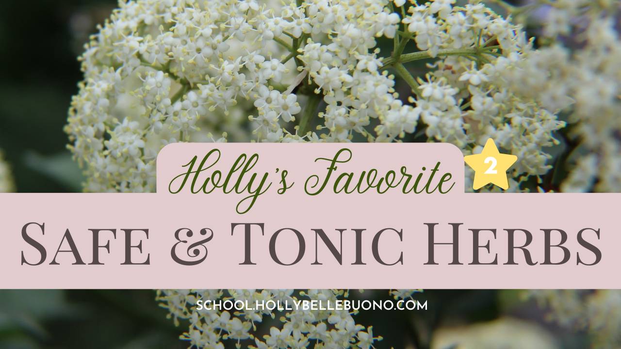 More Safe Herbs: Safe & Gentle Series