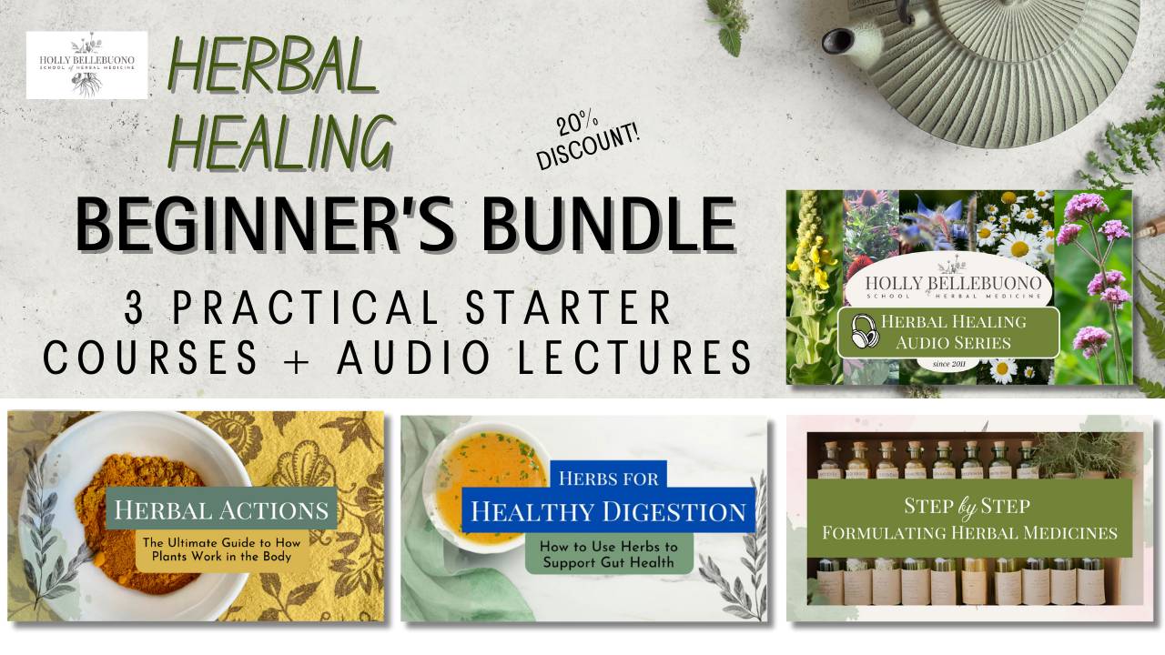 Herbal Healing Beginner's Bundle