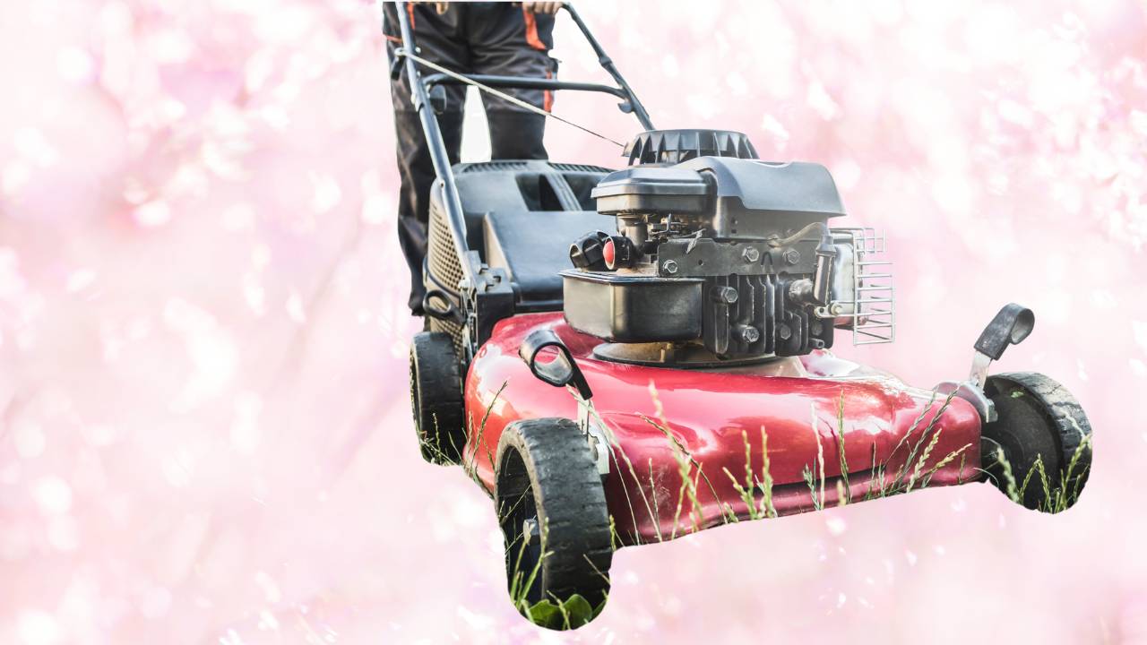 Recognize and handle mean behavior effectively