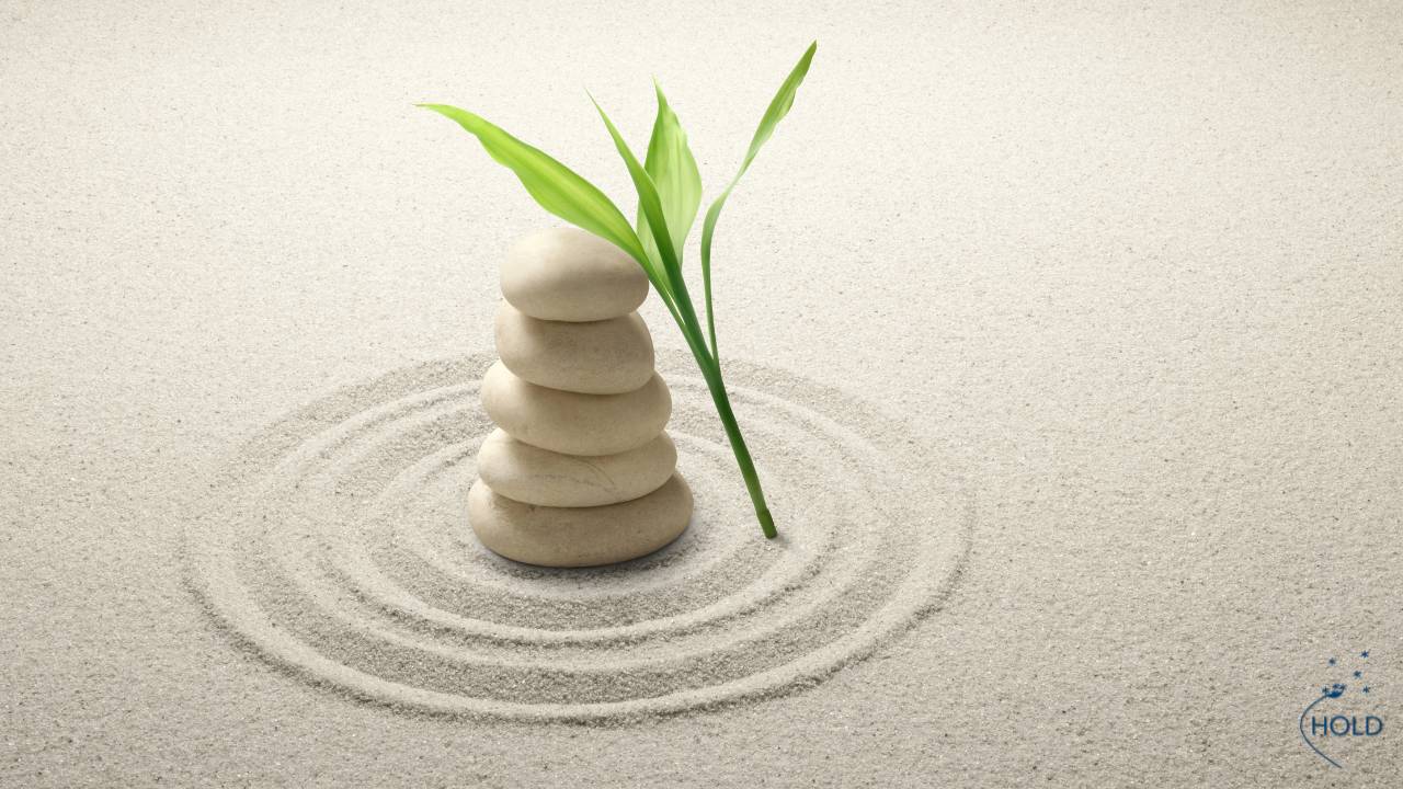 The Power of Calm in a Noisy World