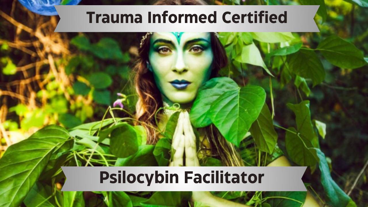 Certified Psilocybin Facilitator Course