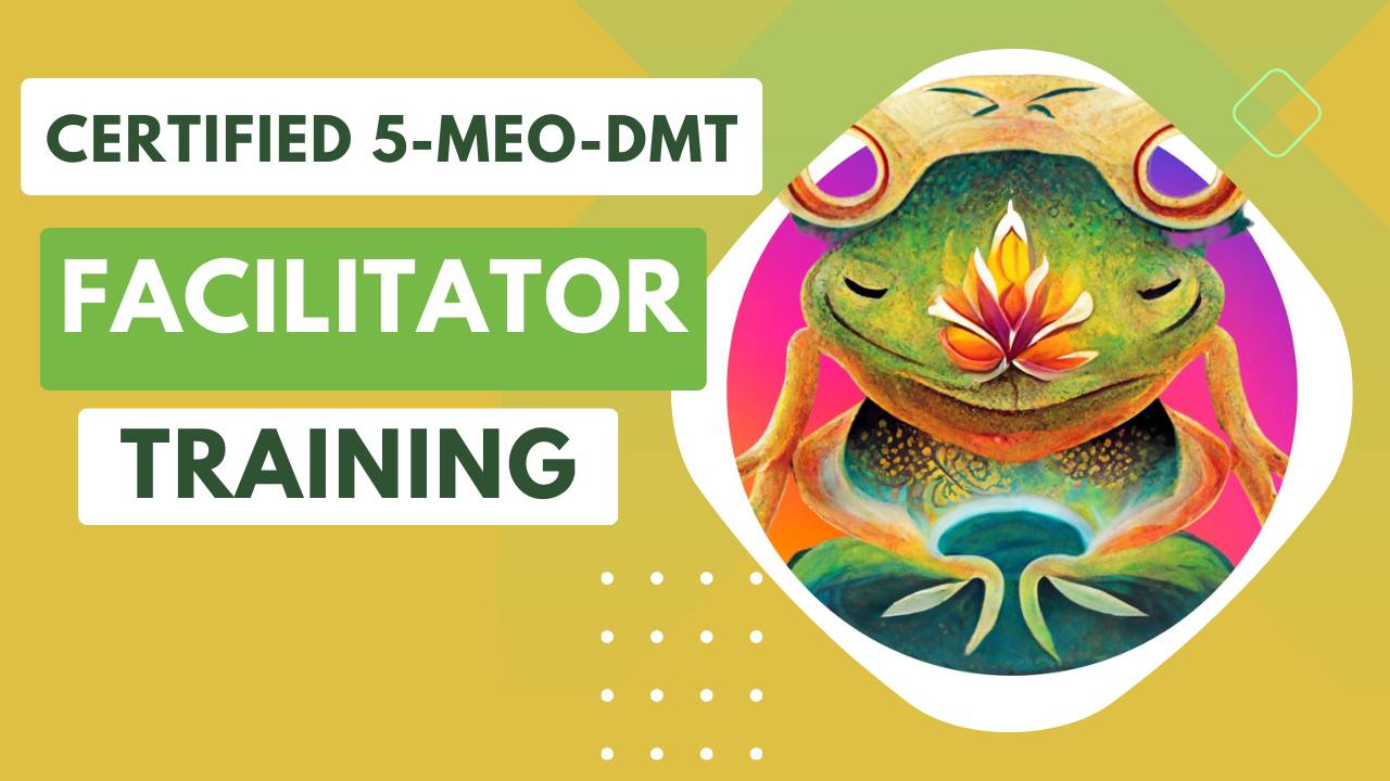 Certified 5-MeO/Bufo Facilitator Course