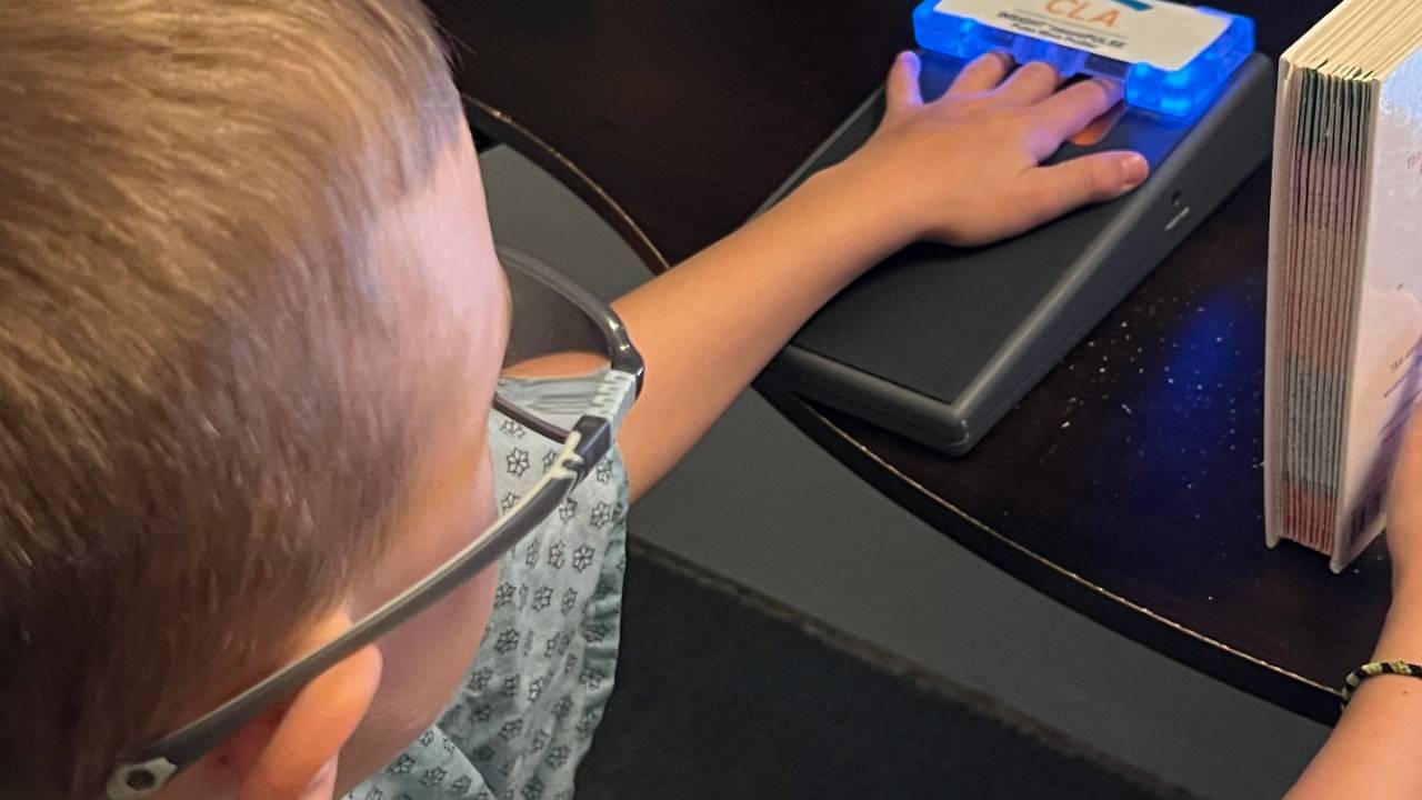 INSiGHT Nervous System Scans