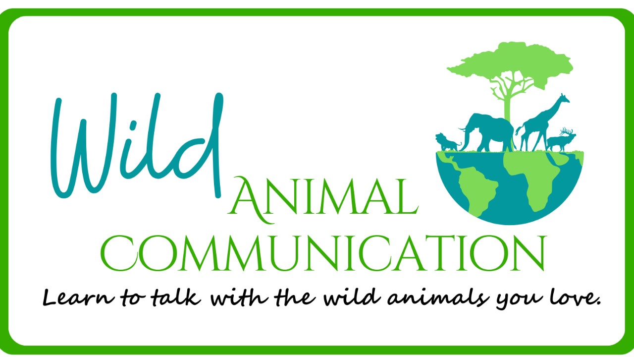 Wild Animal Communication Adventure