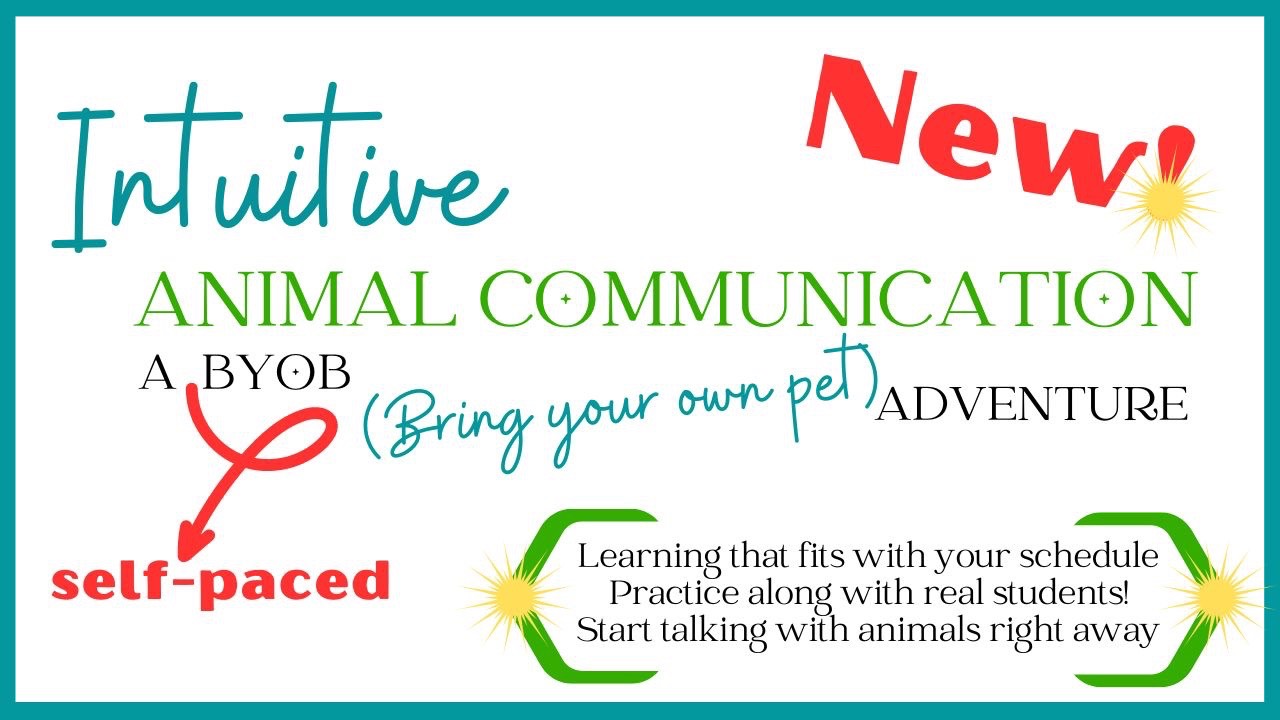 VIRTUAL Bring Your Own Pet Intuitive Animal Communication Adventure