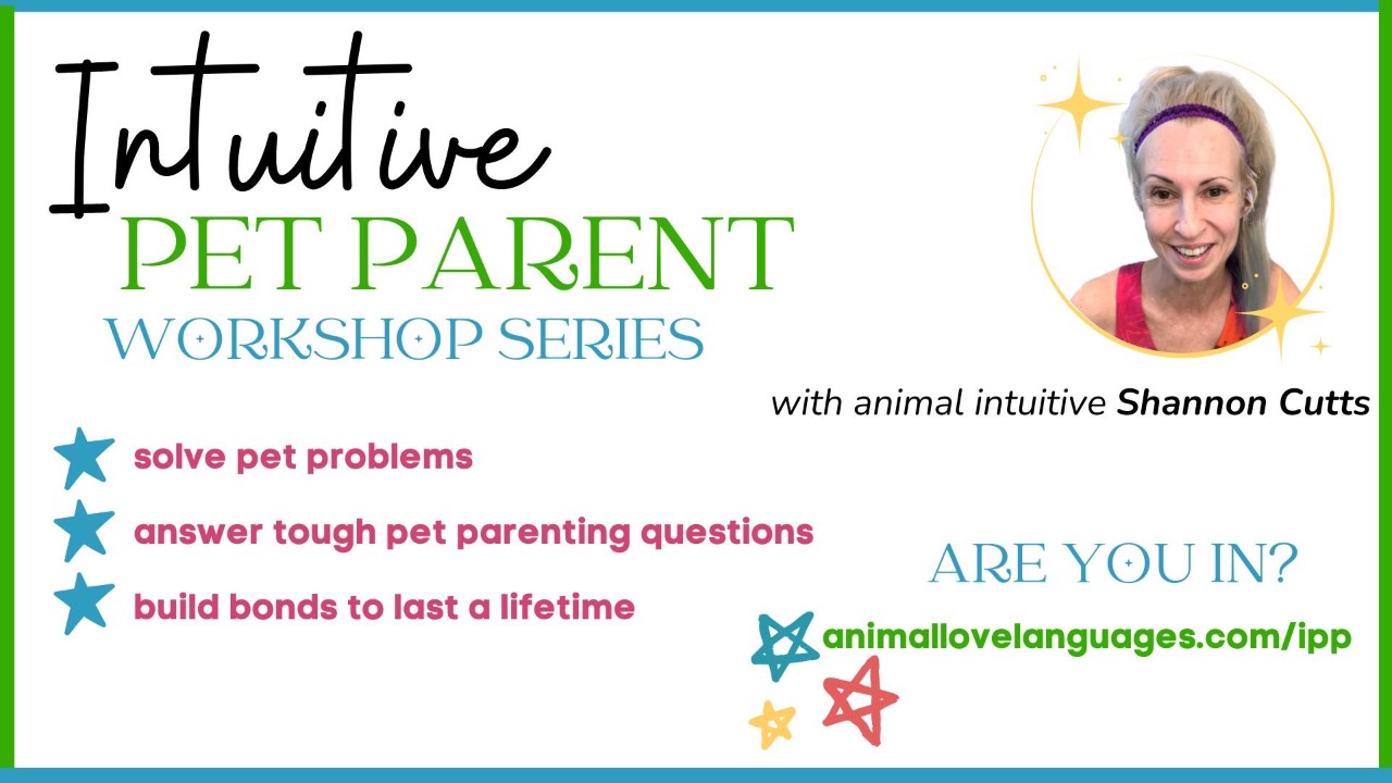 Intuitive Pet Parent Workshop